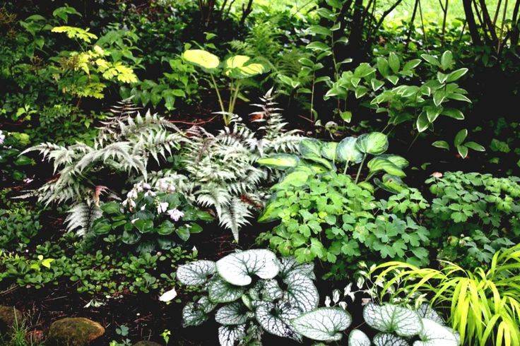20 Deep Shade Garden Ideas Worth to Check | SharonSable