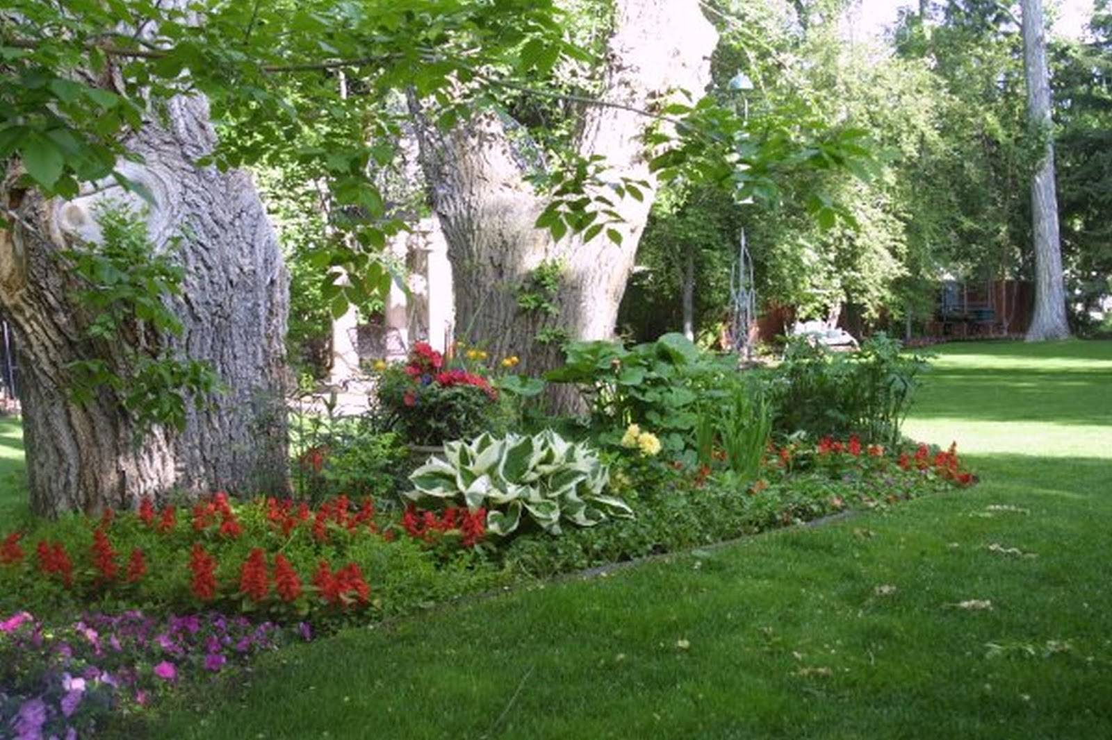 23 Partial Shade Garden Ideas For This Year | SharonSable