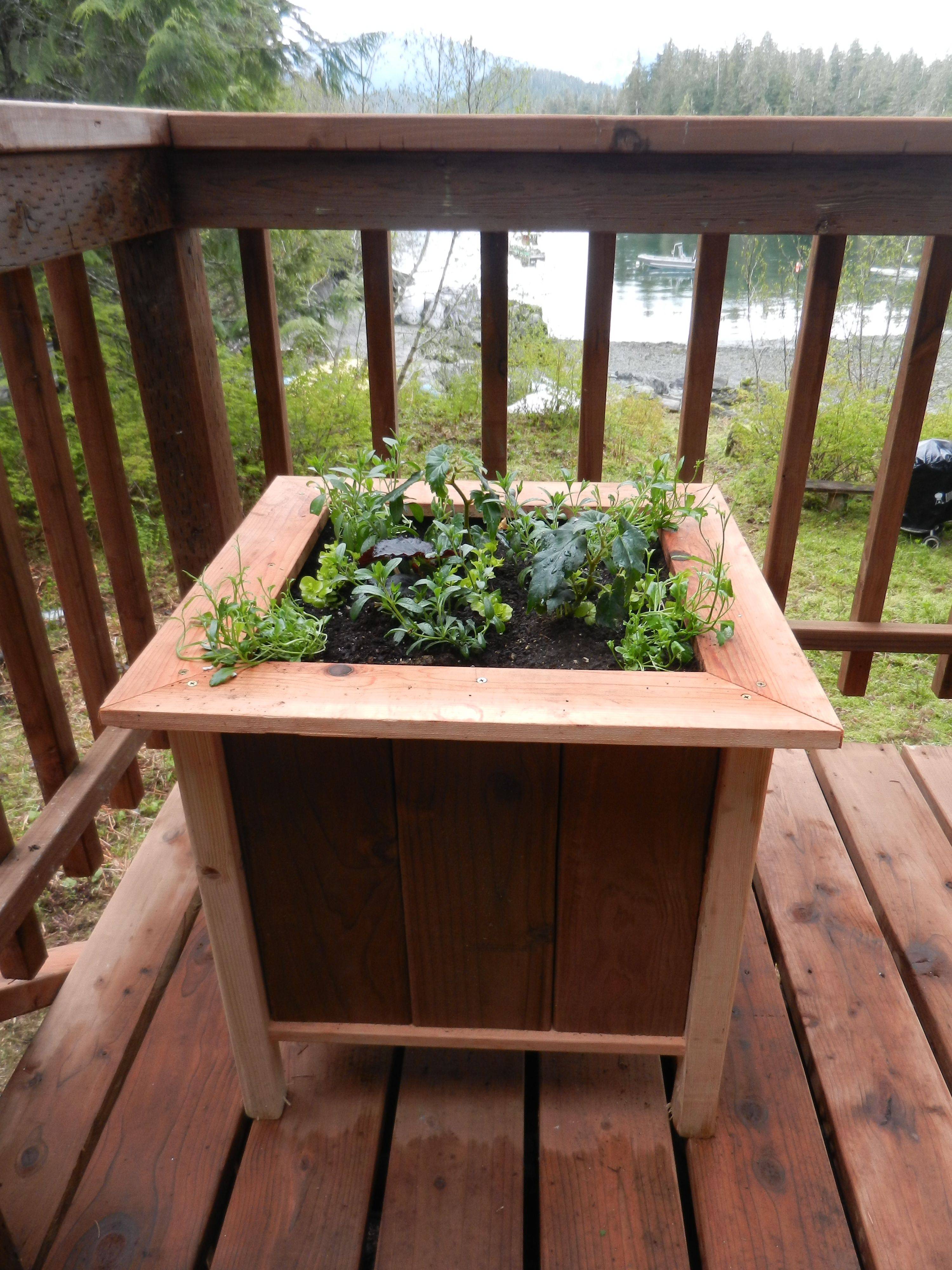 22 Deck Garden Planter Boxes Ideas To Try This Year | SharonSable