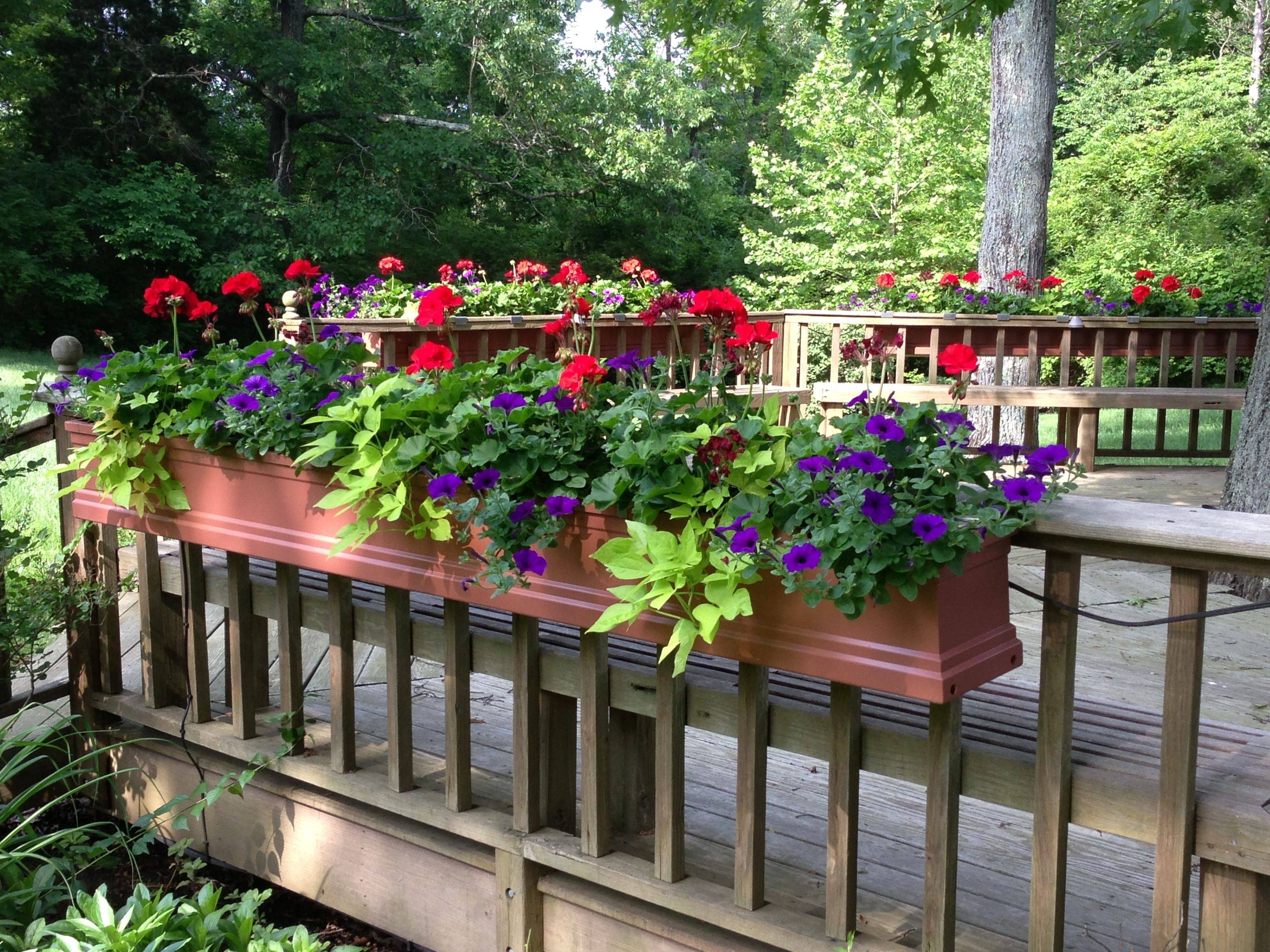 22 Deck Garden Planter Boxes Ideas To Try This Year | SharonSable