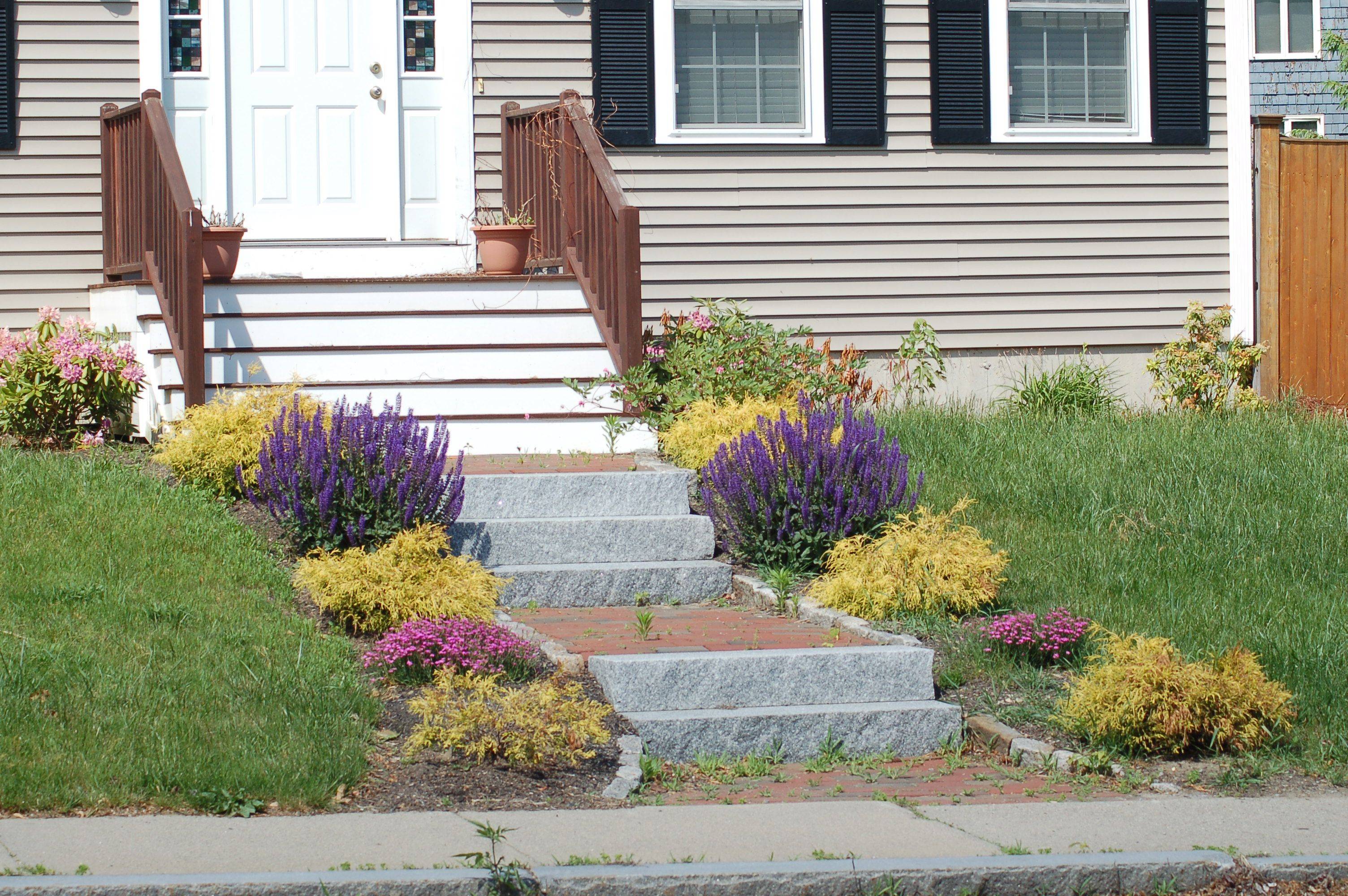 18 View From Front Door to Garden Ideas For This Year | SharonSable