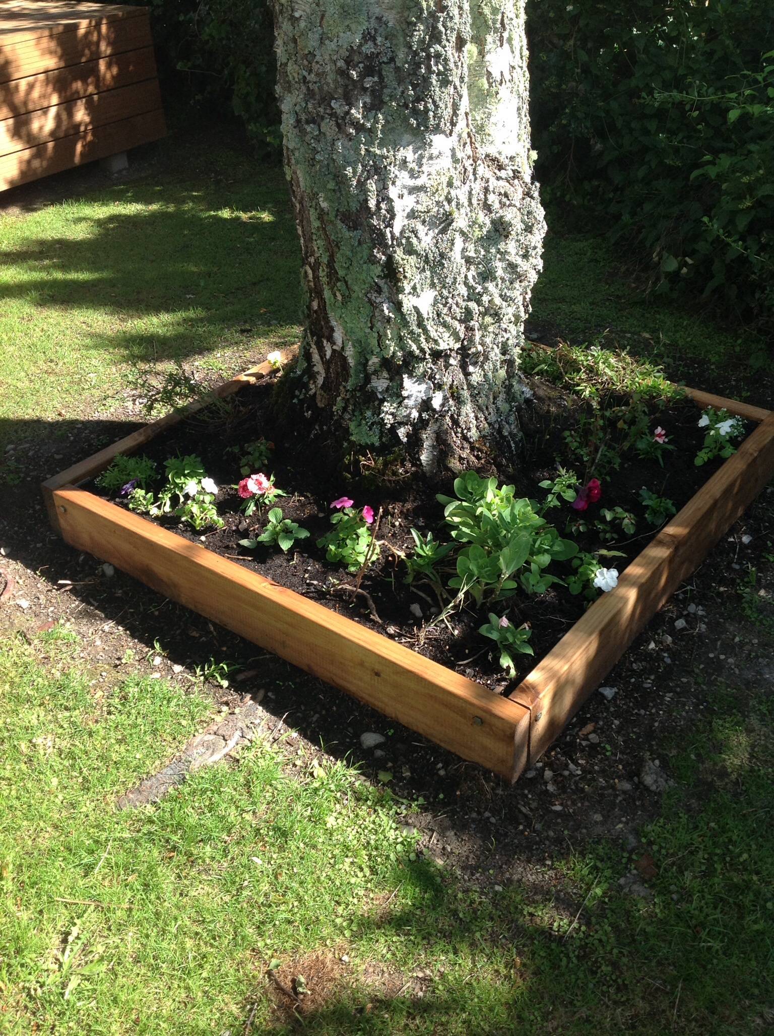24 Raised Garden Bed around Tree Ideas To Try This Year | SharonSable