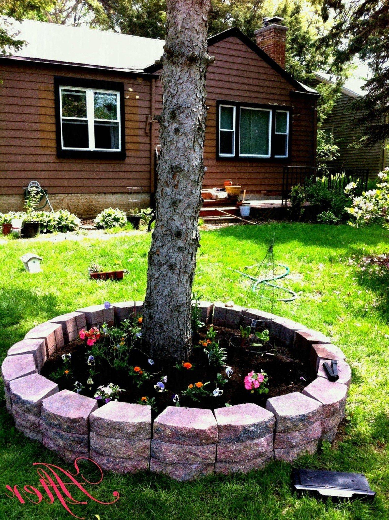 24 Raised Garden Bed around Tree Ideas To Try This Year | SharonSable