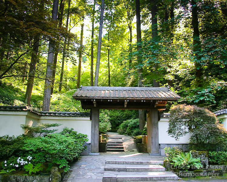 22 Japanese Garden Entrance Ideas You Must Look | SharonSable