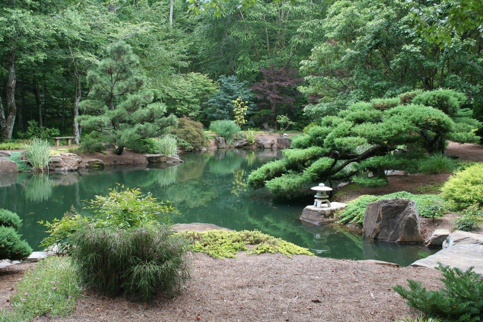 21 Japanese Garden Pond Design Ideas You Should Check | SharonSable