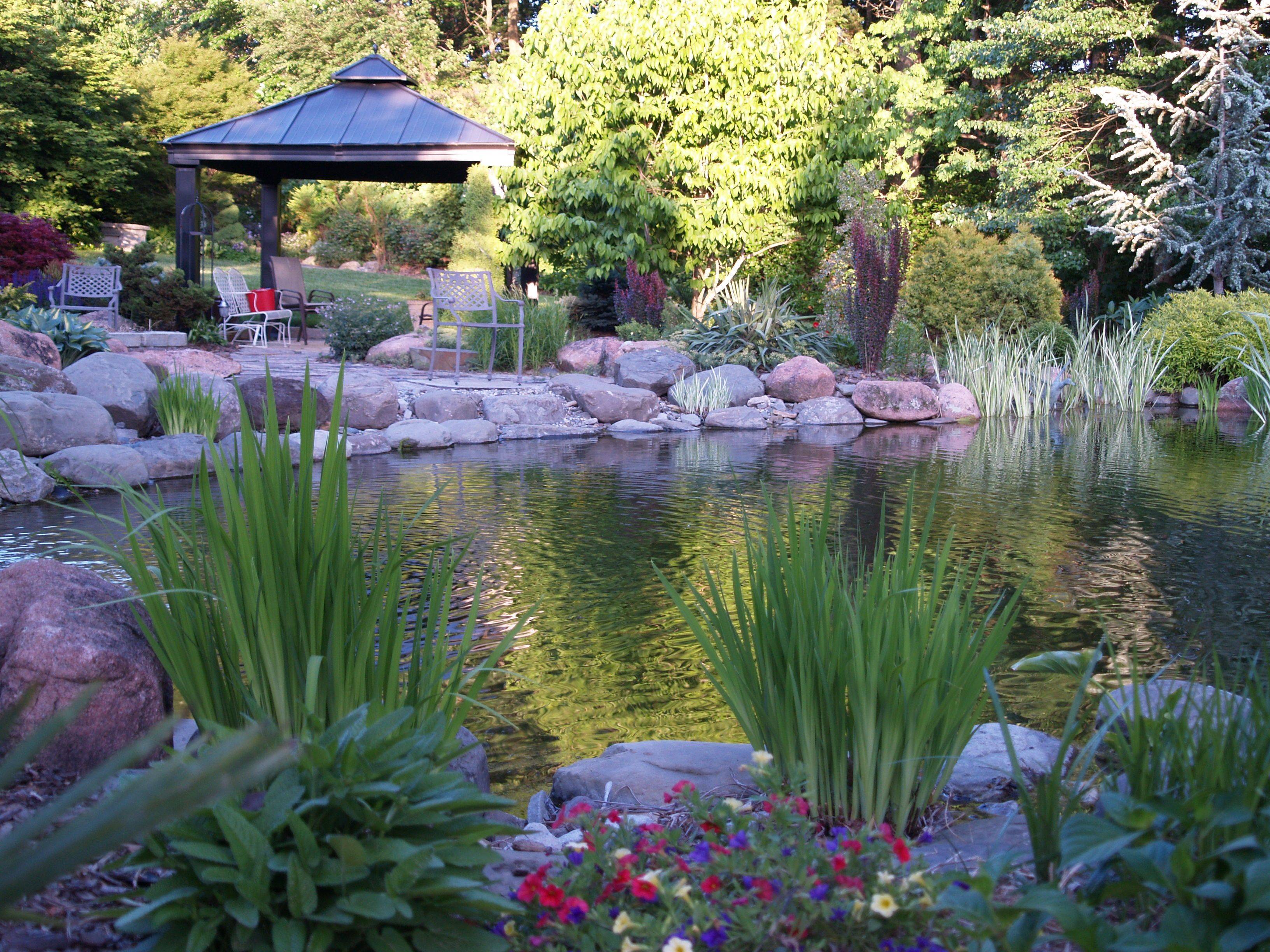 21 Japanese Garden Pond Design Ideas You Should Check | SharonSable