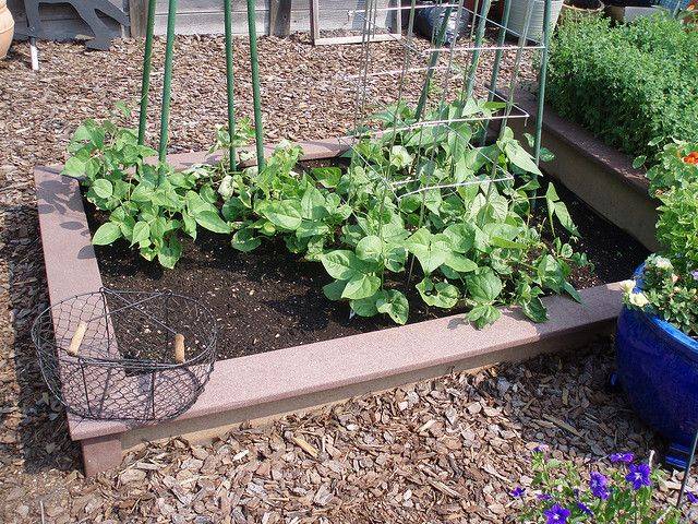 21 Using Trex for Raised Garden Beds Ideas Worth to Check | SharonSable