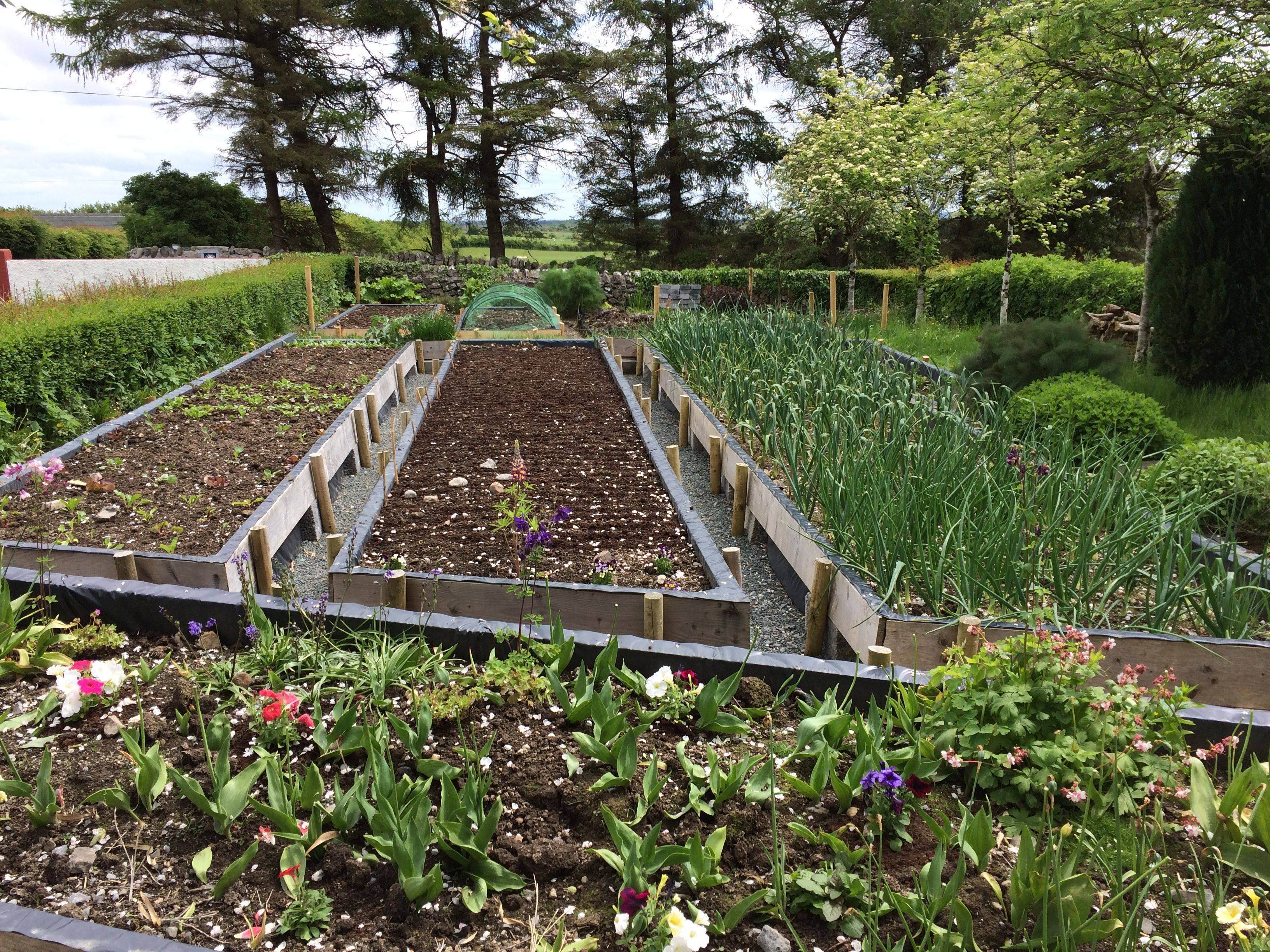 19 Natural Raised Garden Beds Ideas For This Year | SharonSable