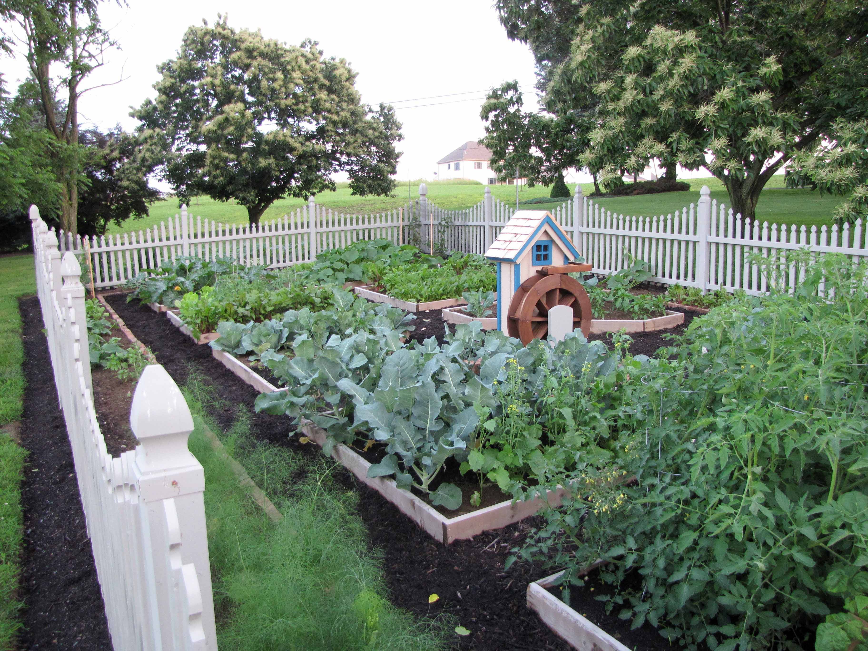 24 Planting a Raised Bed Vegetable Garden Ideas To Try This Year ...