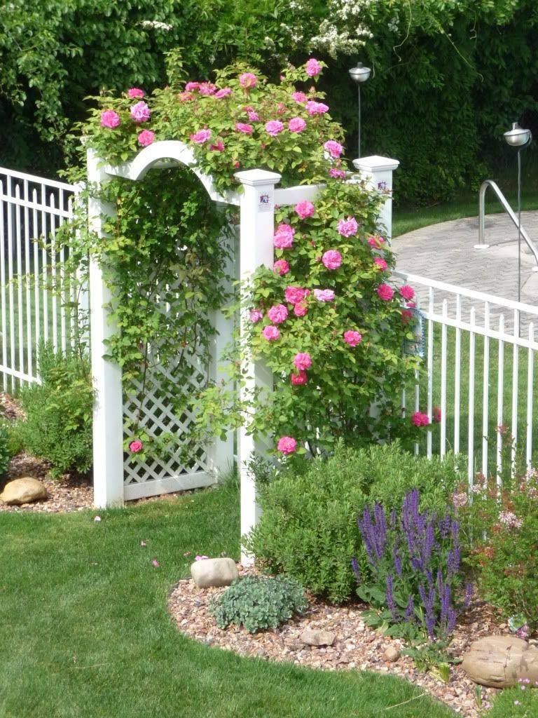 23 Flower Garden Arbor Ideas You Cannot Miss | SharonSable