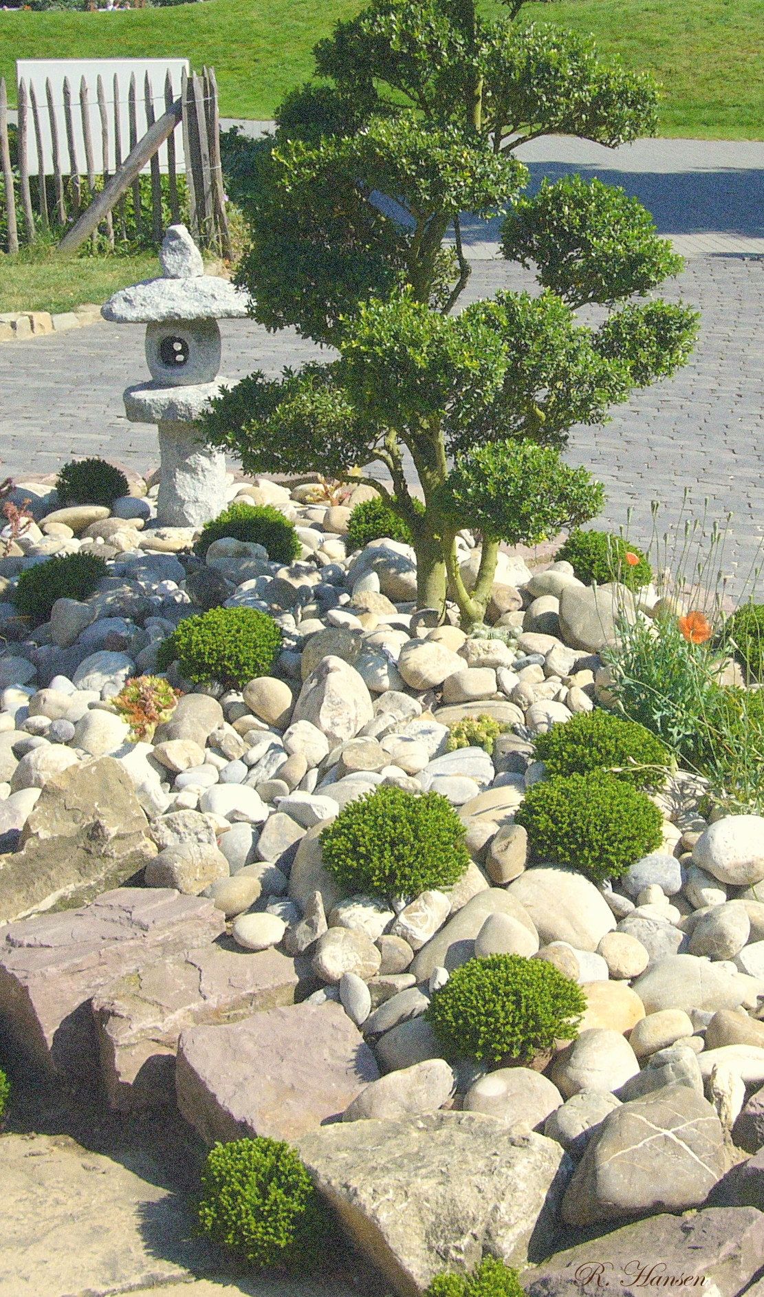 20 Small Japanese Rock Garden Ideas To Consider | SharonSable