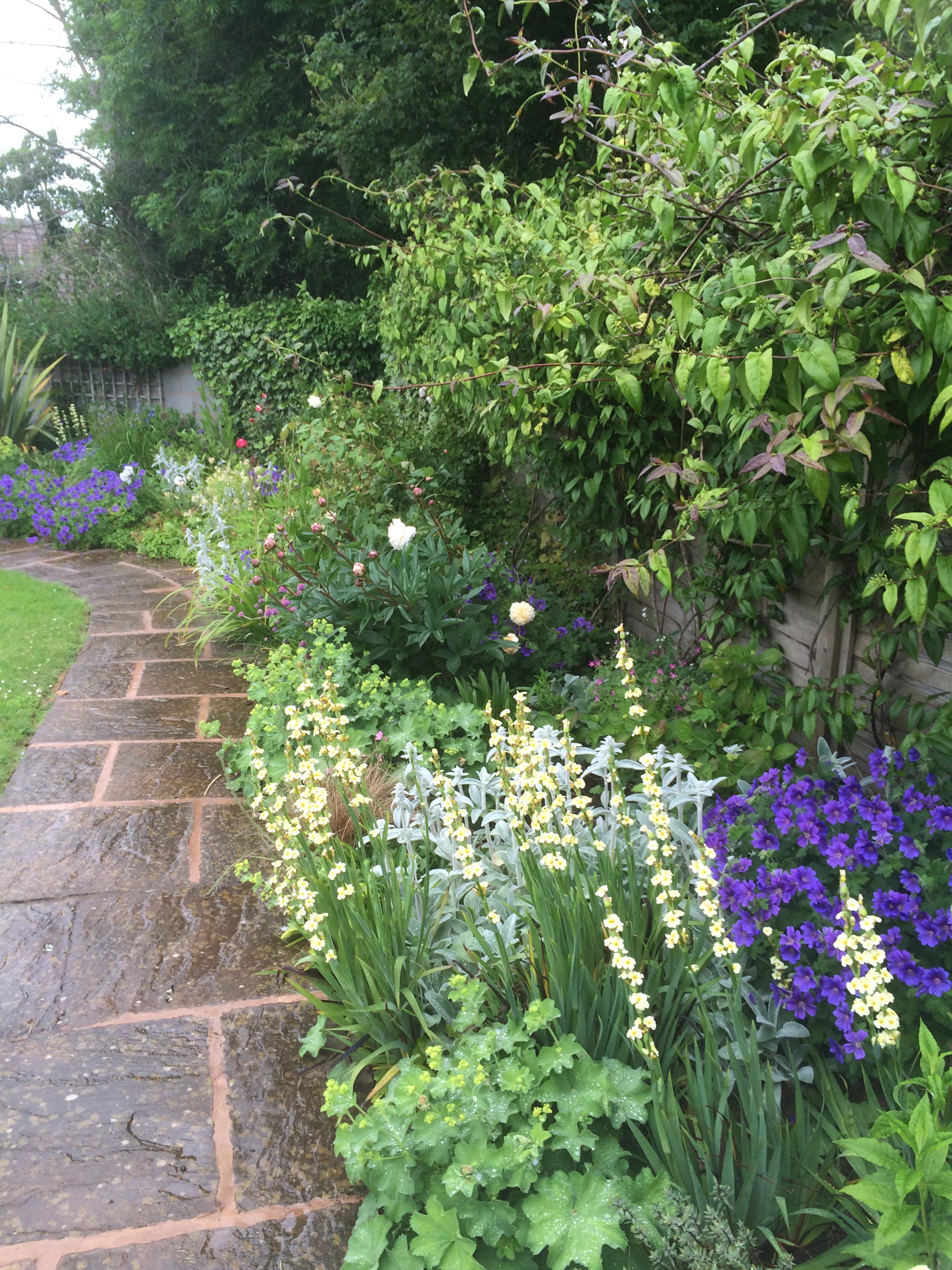 22 Beautiful Garden Borders Ideas You Gonna Love | SharonSable