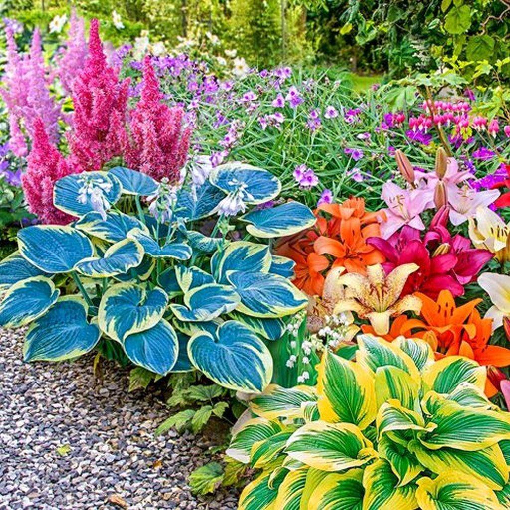 21 Plant Perennial Flower Garden Ideas To Try This Year | SharonSable