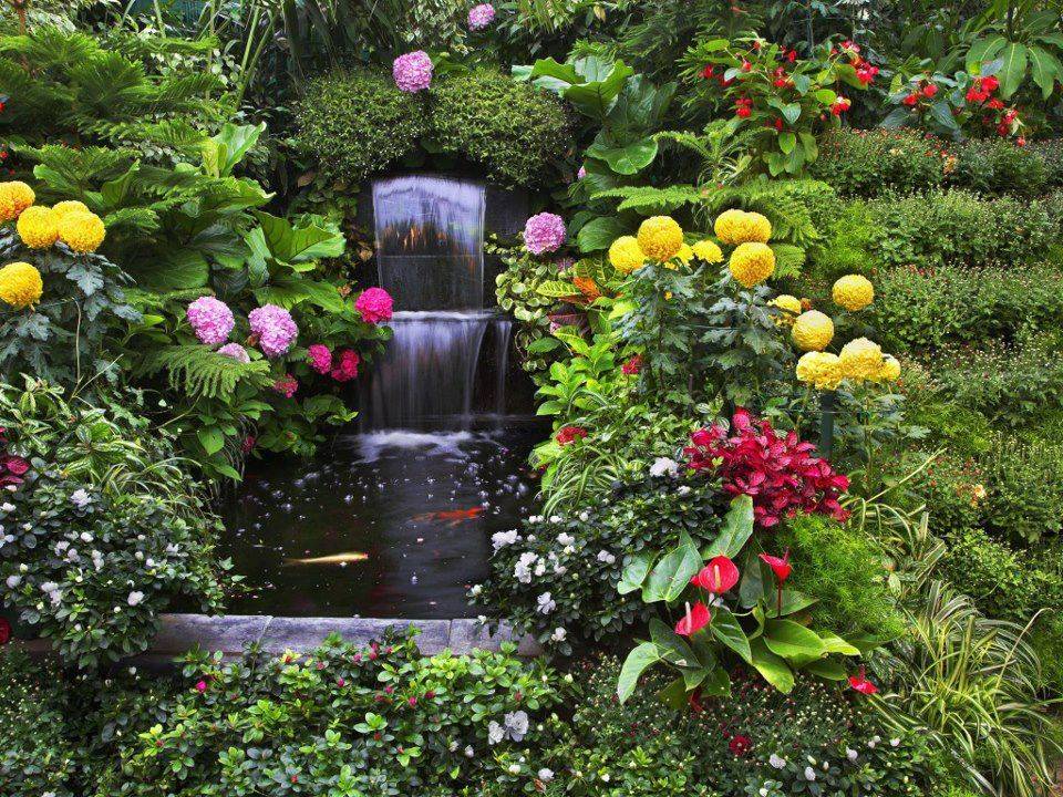 21 Waterfall Flower Garden Ideas You Must Look | SharonSable