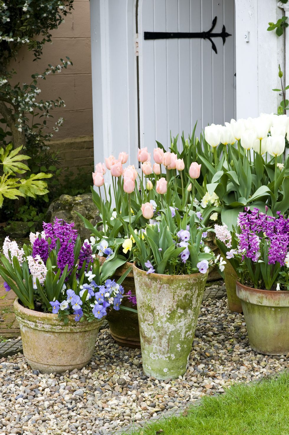 19 Spring Flower Garden Ideas You Gonna Love | SharonSable