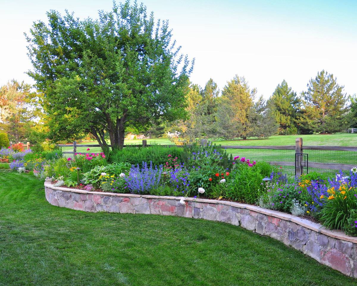 14 Perennial Garden Ideas You Must Look | SharonSable