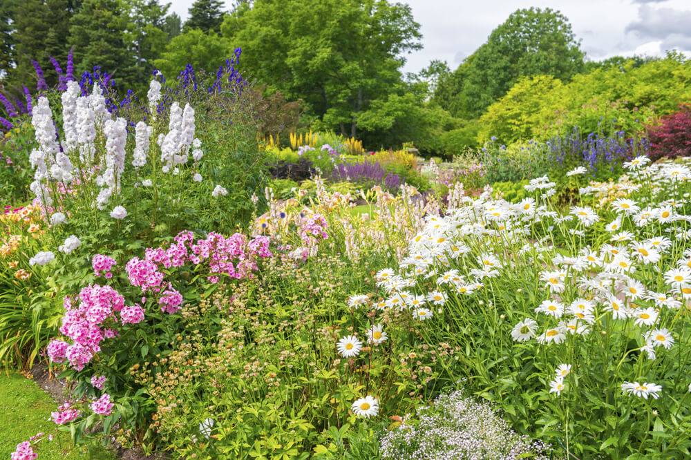 14 Perennial Garden Ideas You Must Look | SharonSable