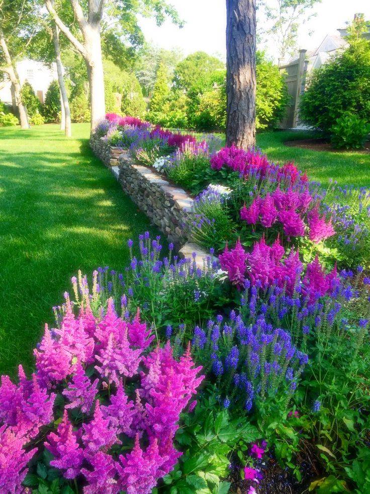 20 Perennial Shade Garden Design Ideas You Gonna Love | SharonSable