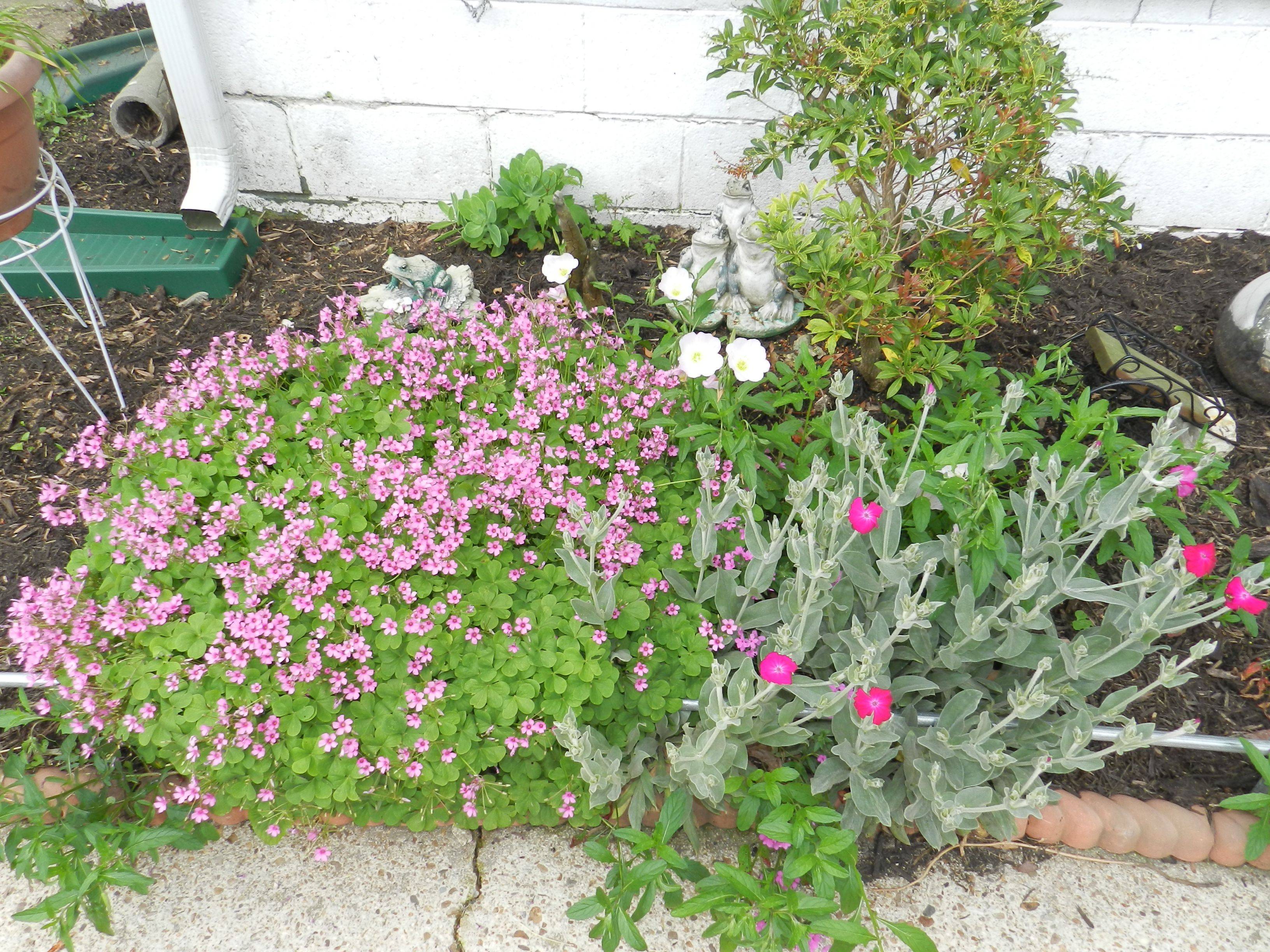 22 Flower Garden Texture Ideas For This Year | SharonSable