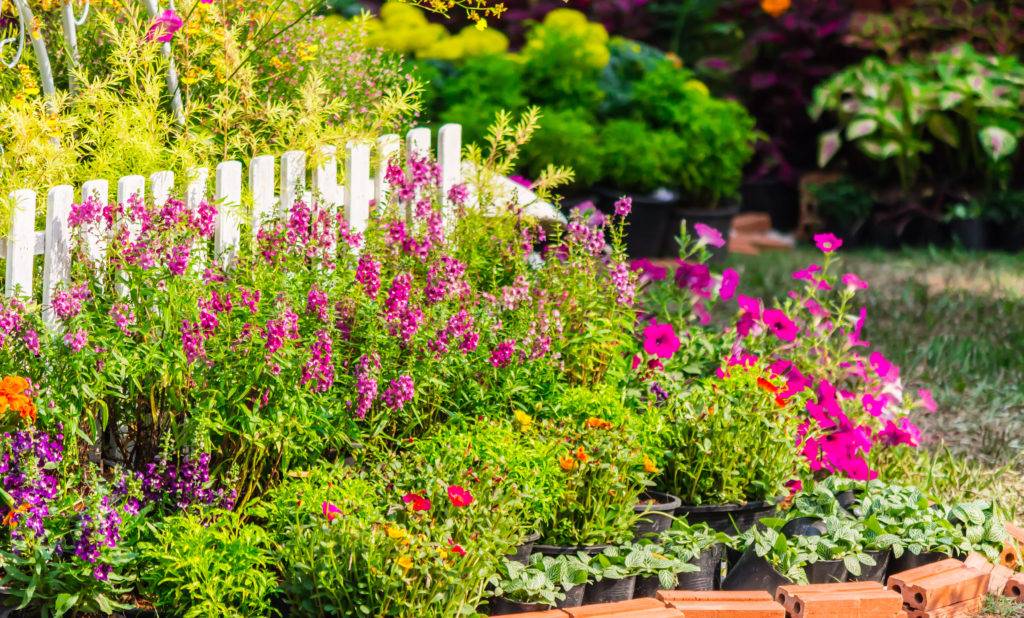 22 Flower Garden Texture Ideas For This Year | SharonSable