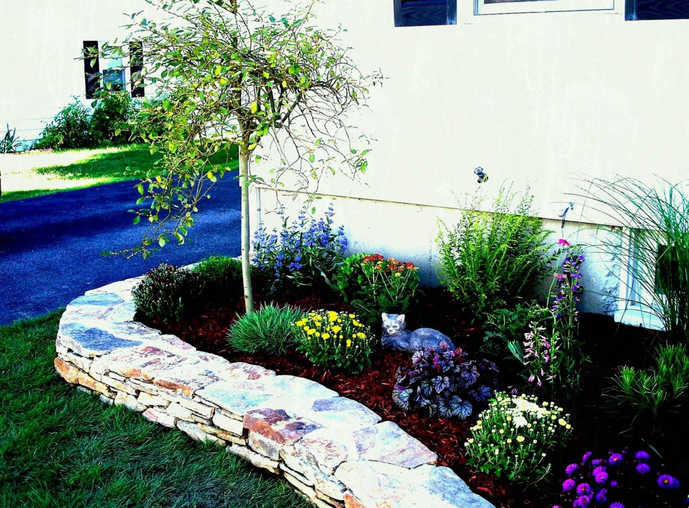 23 Full Sun Garden Plans Ideas Worth a Look | SharonSable