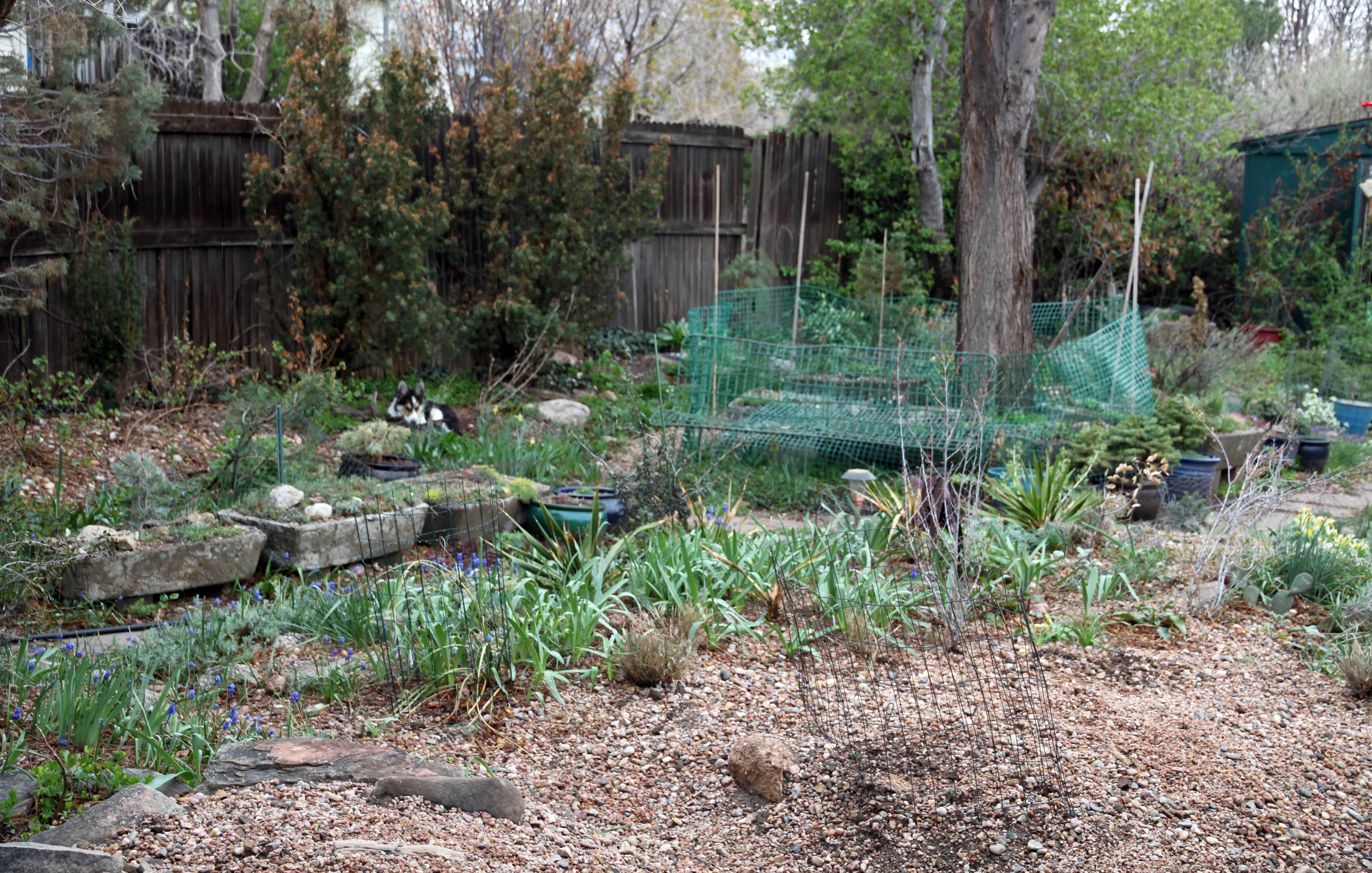 23 Ugly Garden Ideas To Consider | SharonSable