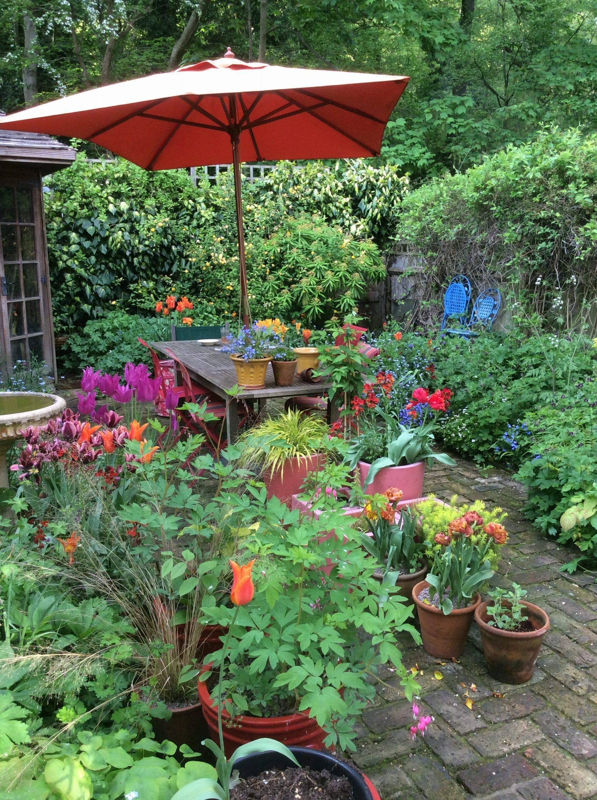 20 Spring English Cottage Garden Ideas You Should Look | SharonSable