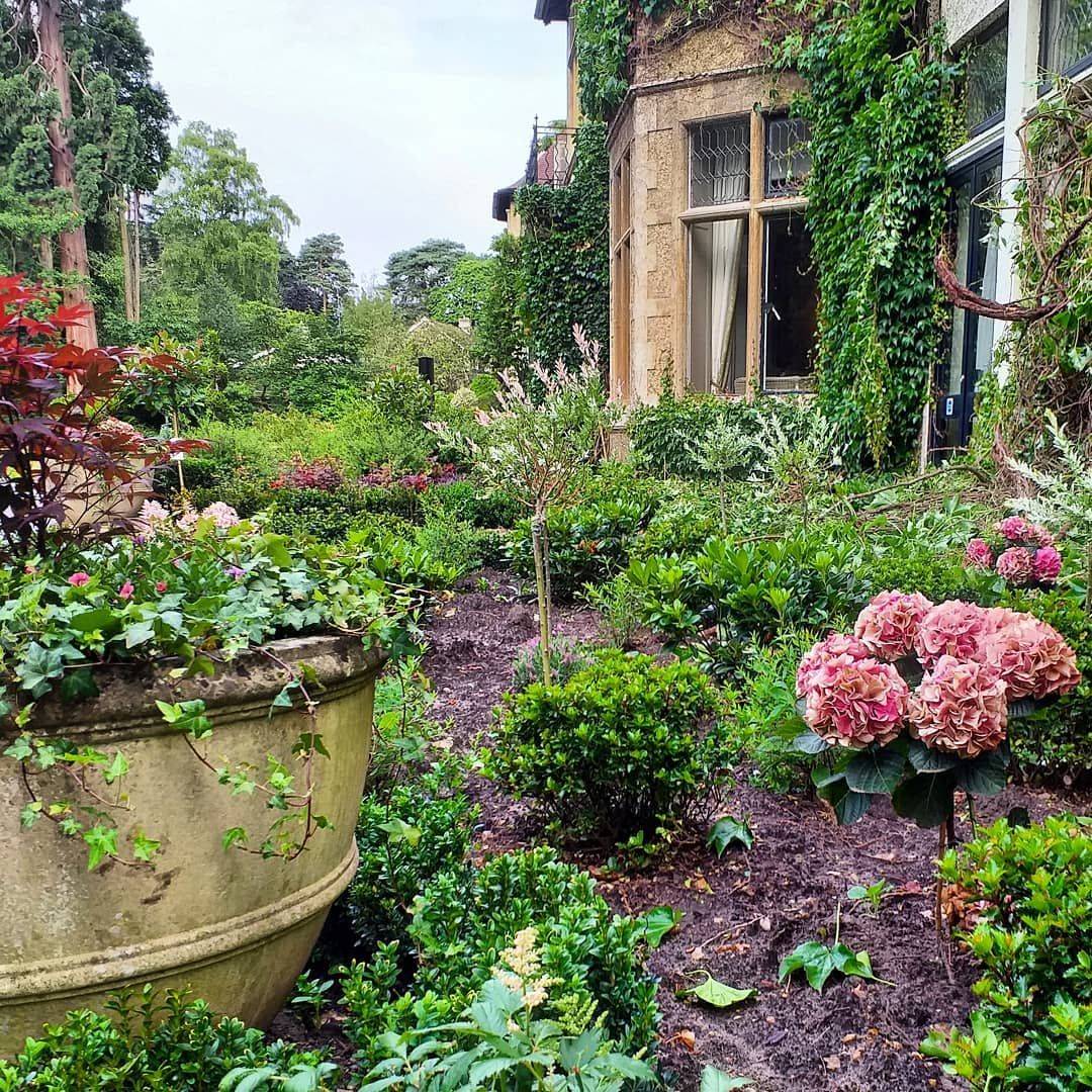 20 Spring English Cottage Garden Ideas You Should Look | SharonSable