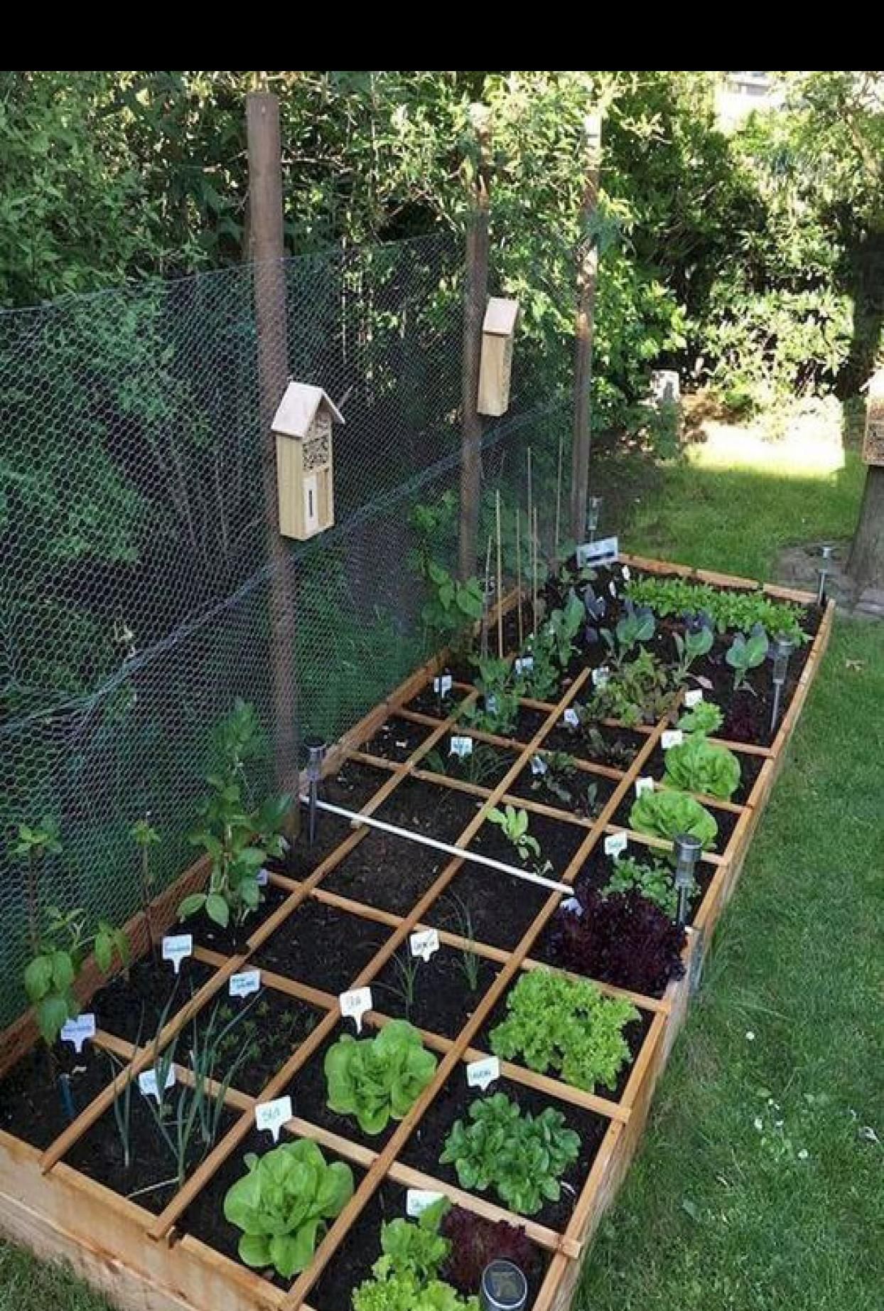 22 Vegetable Garden Art Ideas For This Year | SharonSable