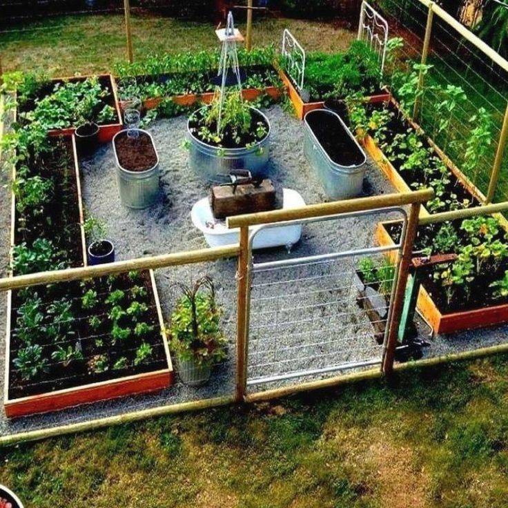 22 Vegetable Garden Accessories Ideas You Should Look | SharonSable