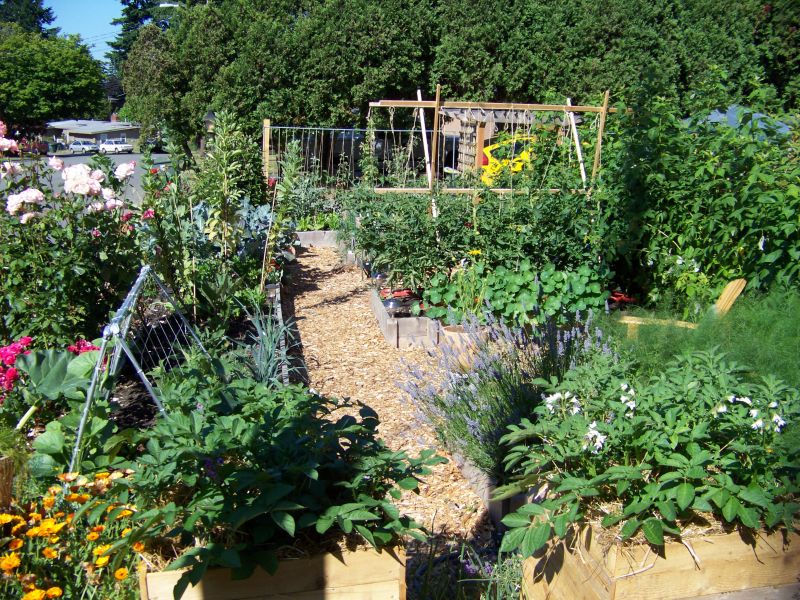 21 Potager Garden Examples Ideas You Should Check | SharonSable