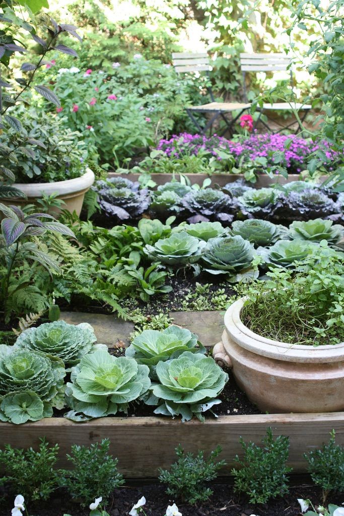 21 Potager Garden Examples Ideas You Should Check | SharonSable