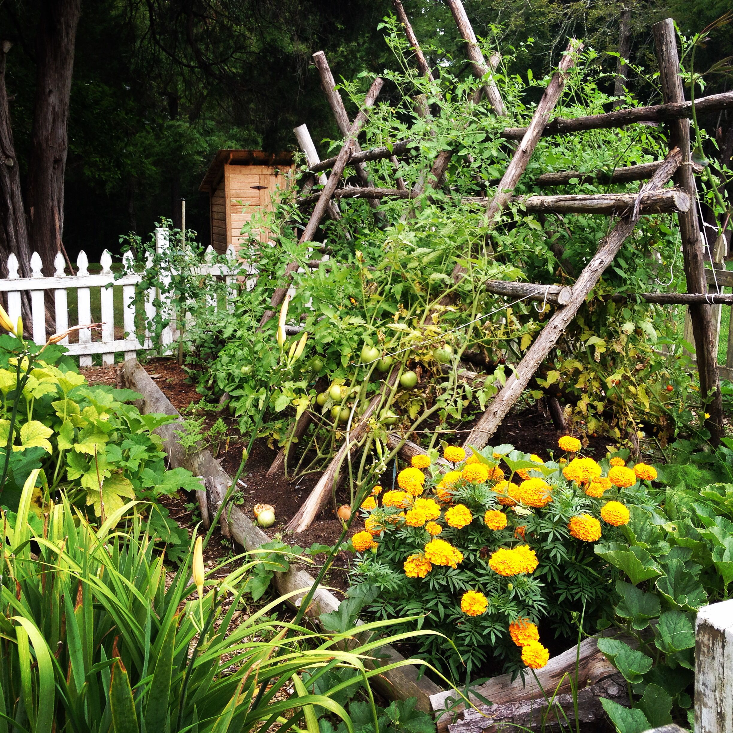 21 Potager Garden Examples Ideas You Should Check | SharonSable
