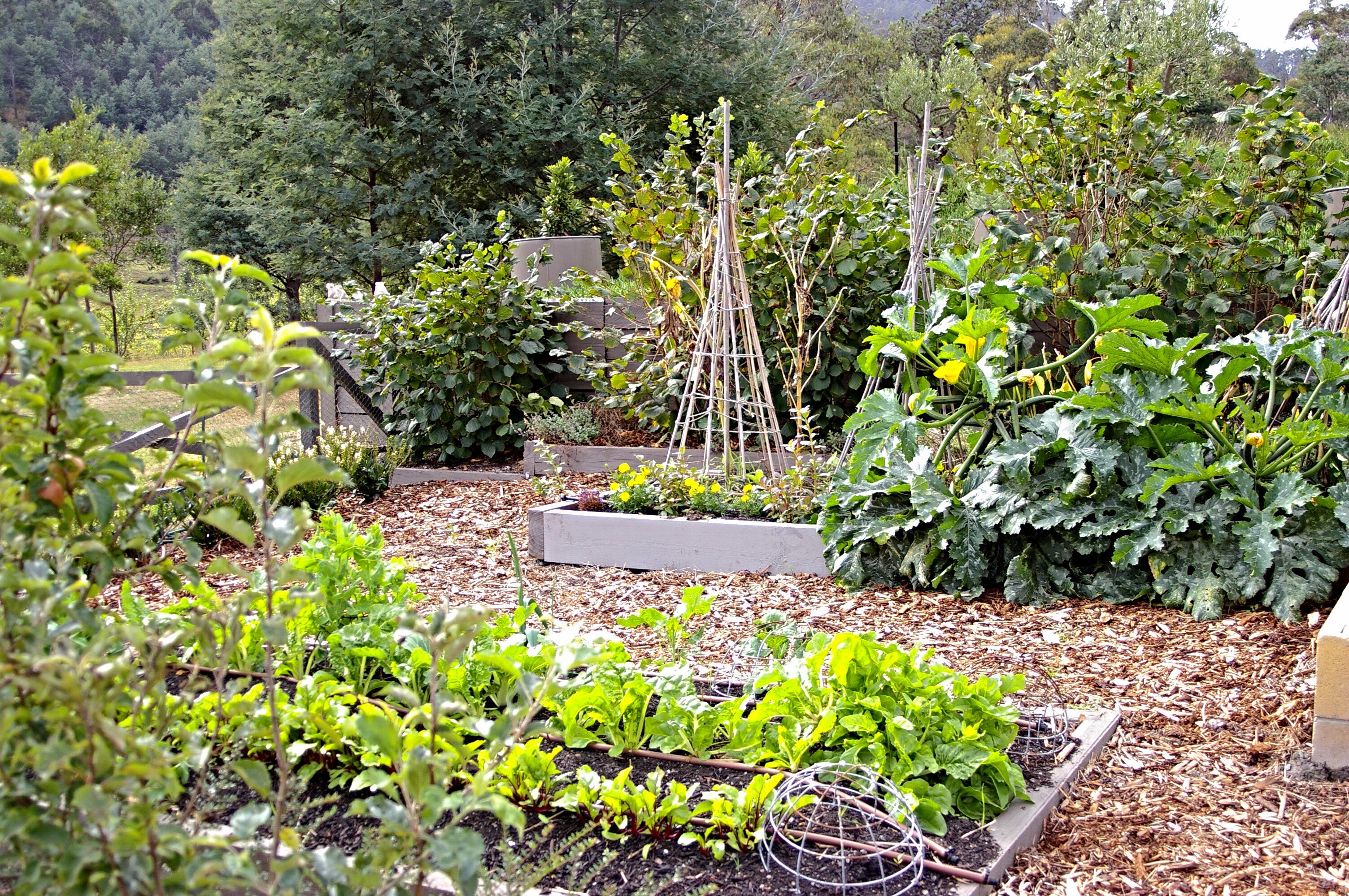 21 Potager Garden Examples Ideas You Should Check | SharonSable