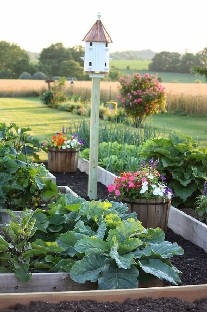 21 Potager Garden Examples Ideas You Should Check | SharonSable