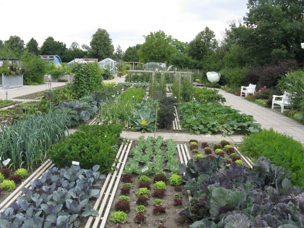 21 Potager Garden Examples Ideas You Should Check | SharonSable