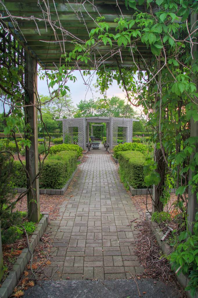 22 Unkempt Garden Ideas You Must Look | SharonSable