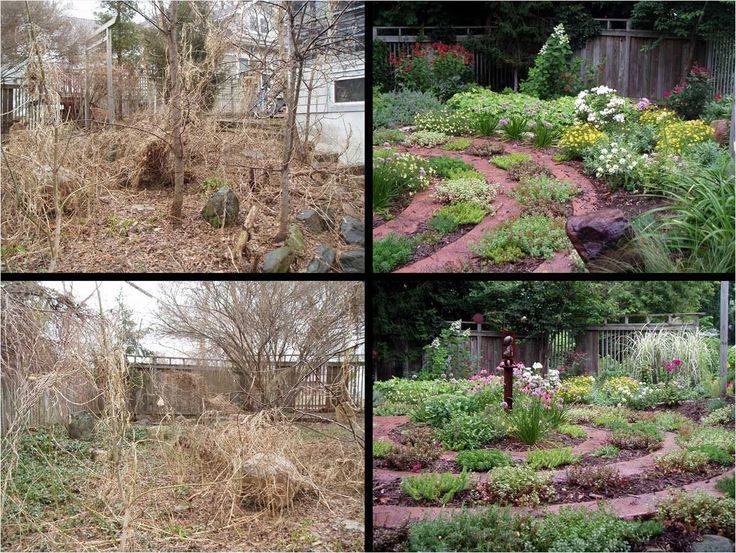 22 Unkempt Garden Ideas You Must Look | SharonSable