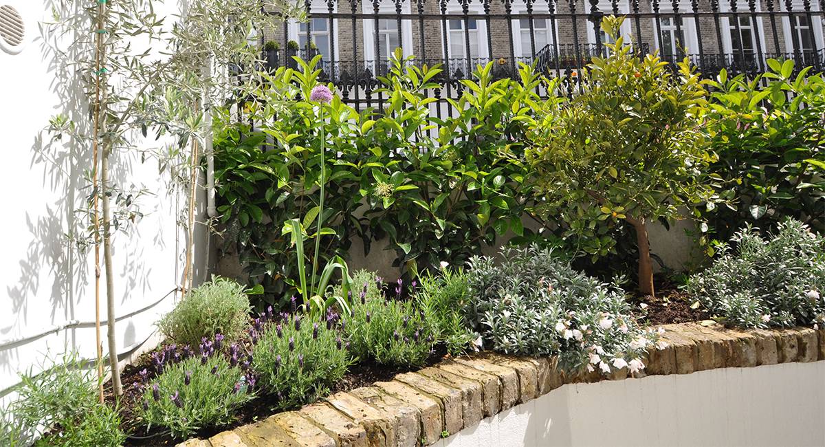 19 Basement Garden Ideas To Try This Year | SharonSable