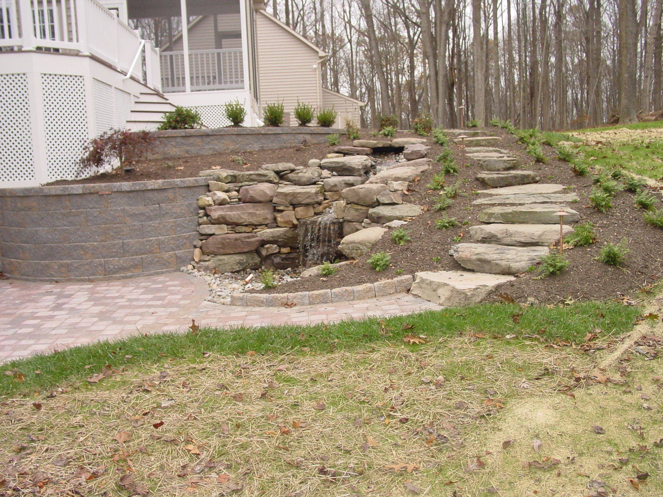 19 Basement Garden Ideas To Try This Year | SharonSable