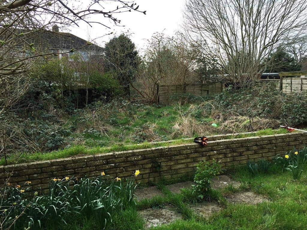 17 Neglected Garden Ideas Worth to Check | SharonSable