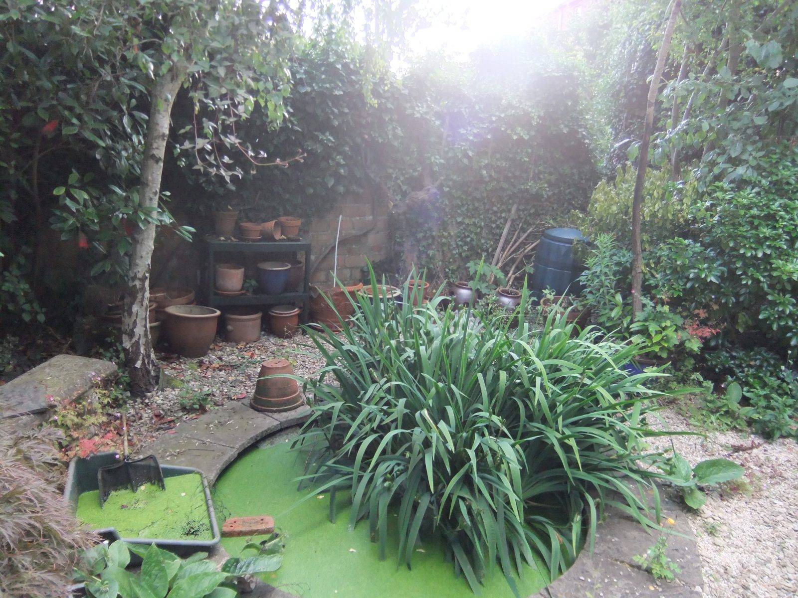 17 Neglected Garden Ideas Worth to Check | SharonSable