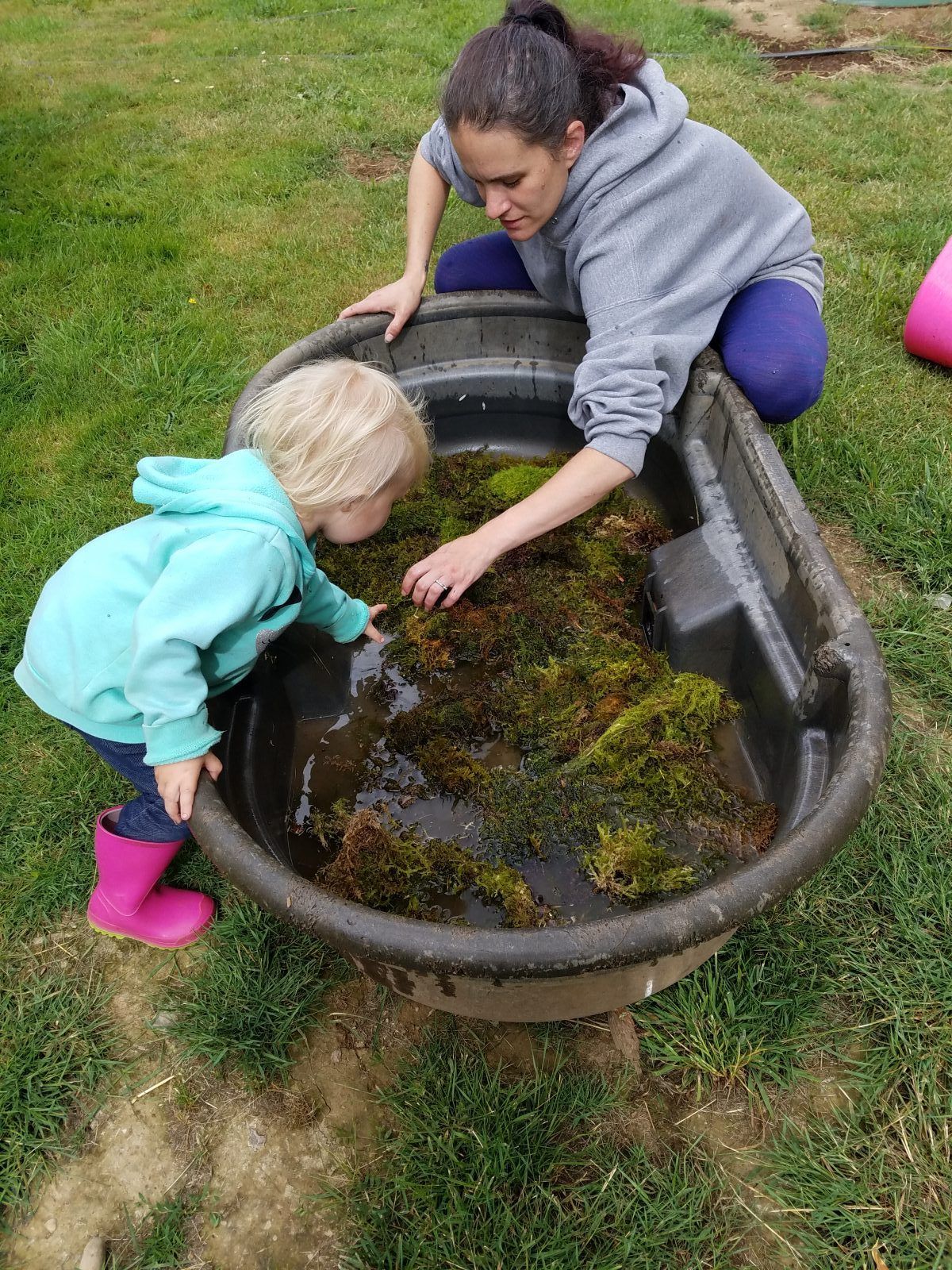 19 Garden Mess Ideas For This Year | SharonSable