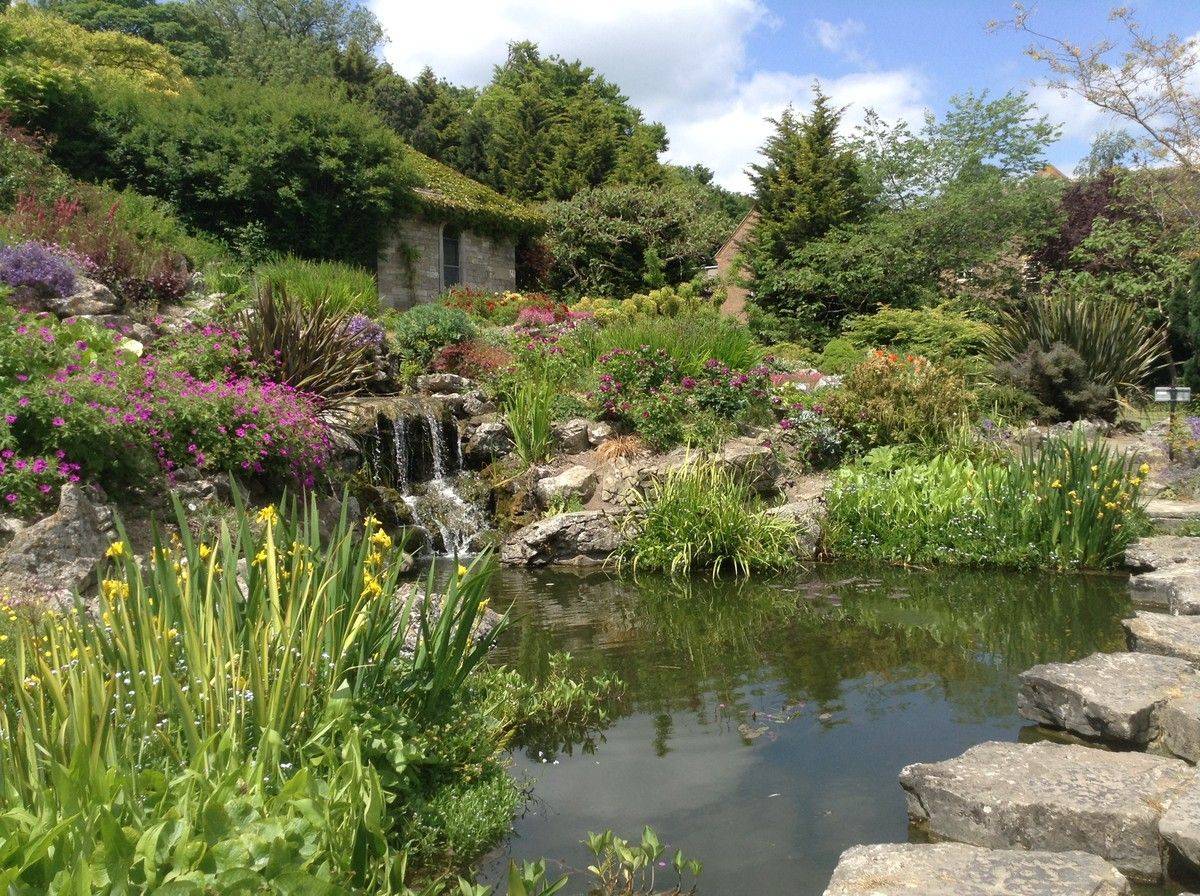 18 Old Overgrown Garden Ideas To Consider | SharonSable