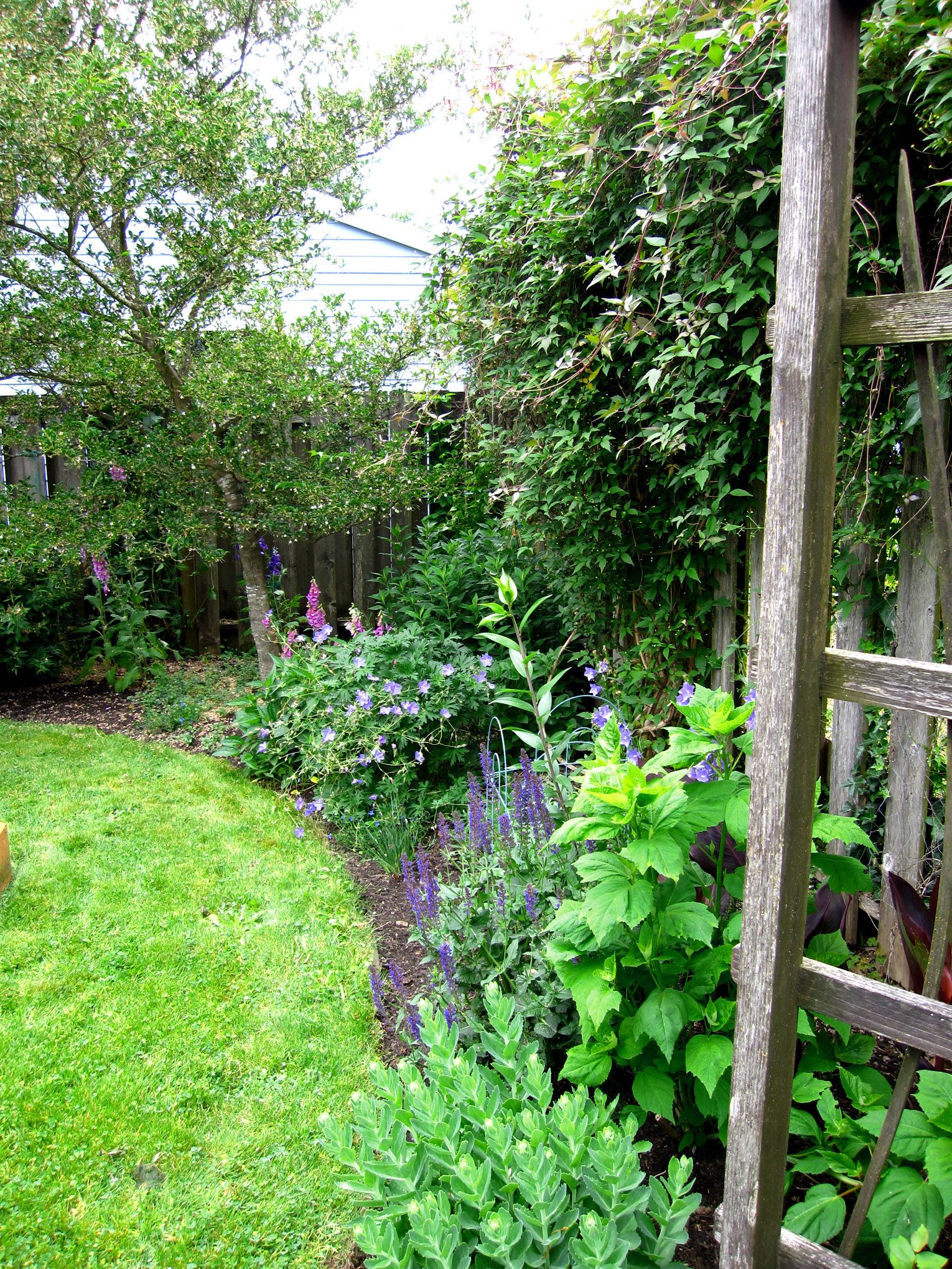 18 Old Overgrown Garden Ideas To Consider | SharonSable