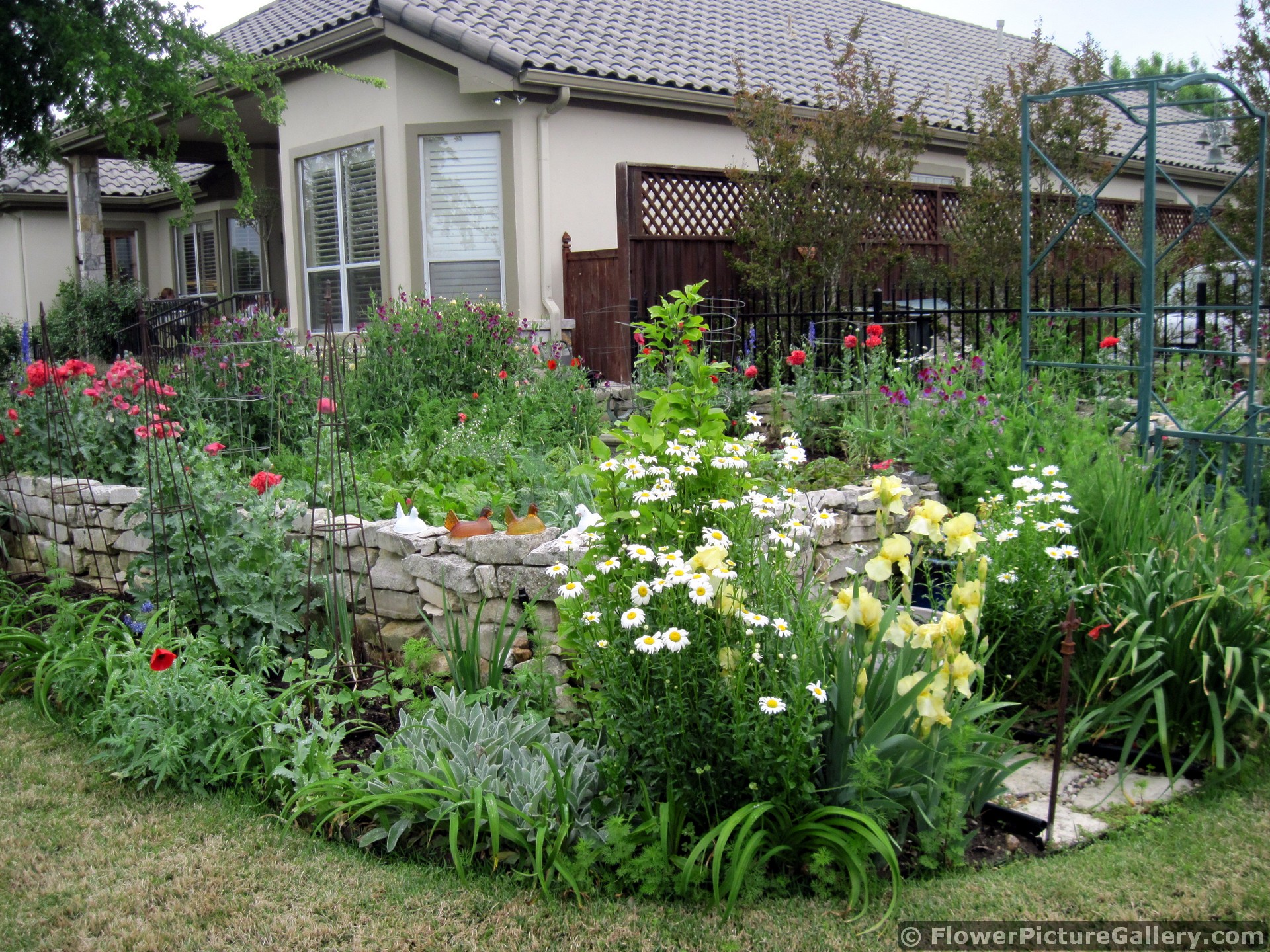 20 Colorful Backyard Flower Garden Ideas You Must Look | SharonSable