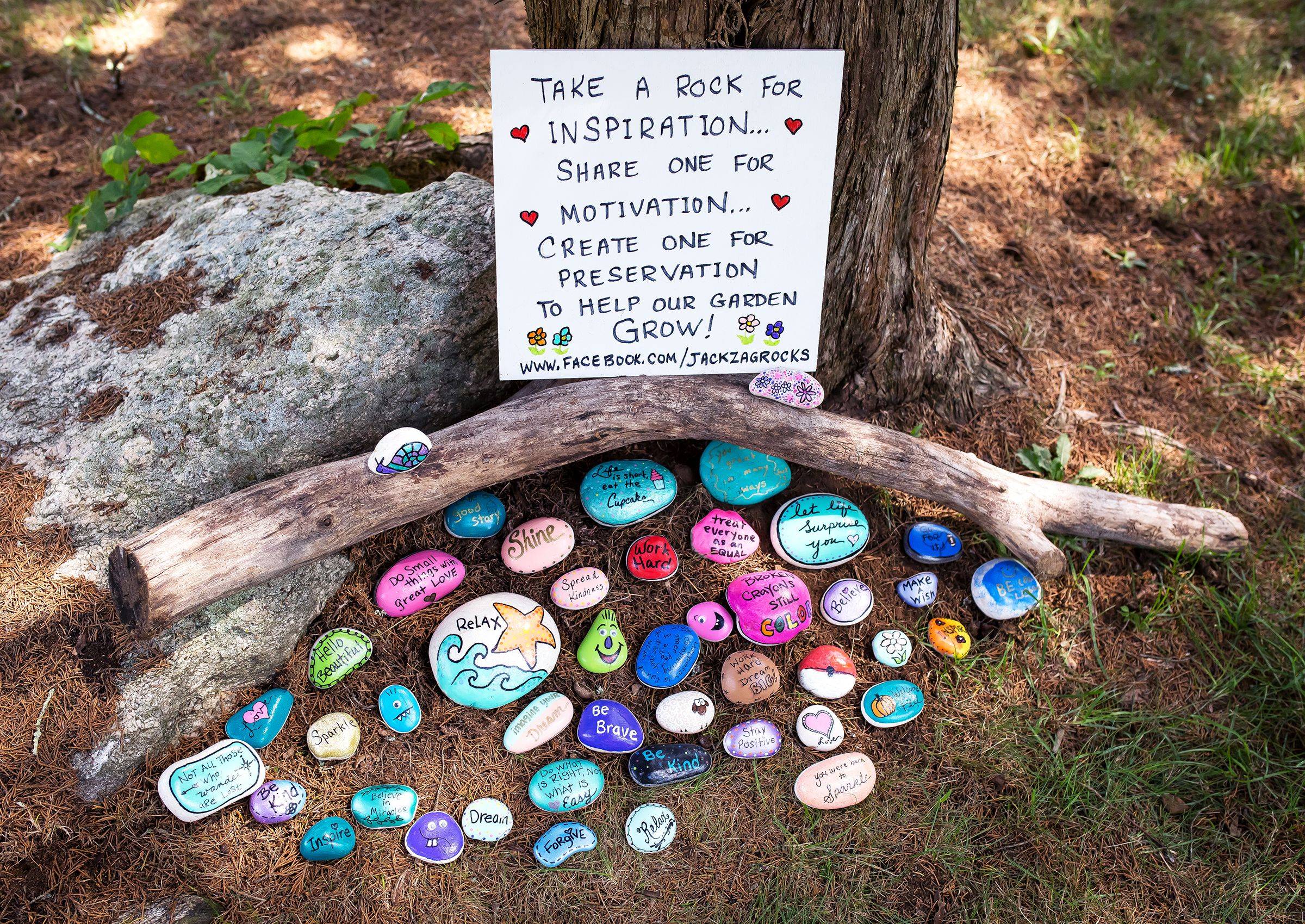 20 Painted Rock Garden Ideas You Gonna Love | SharonSable