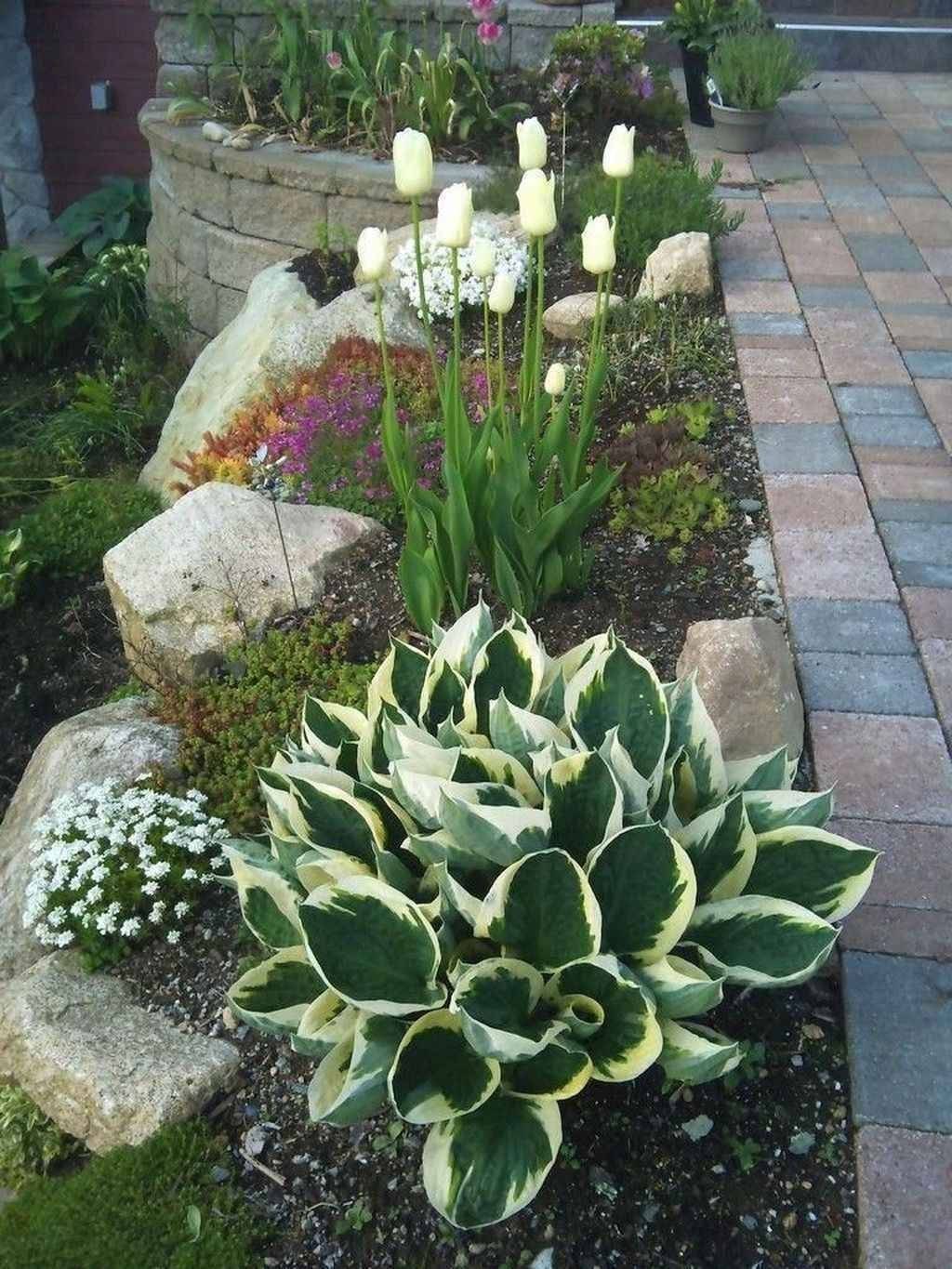20 Cute Rock Garden Ideas You Cannot Miss | SharonSable