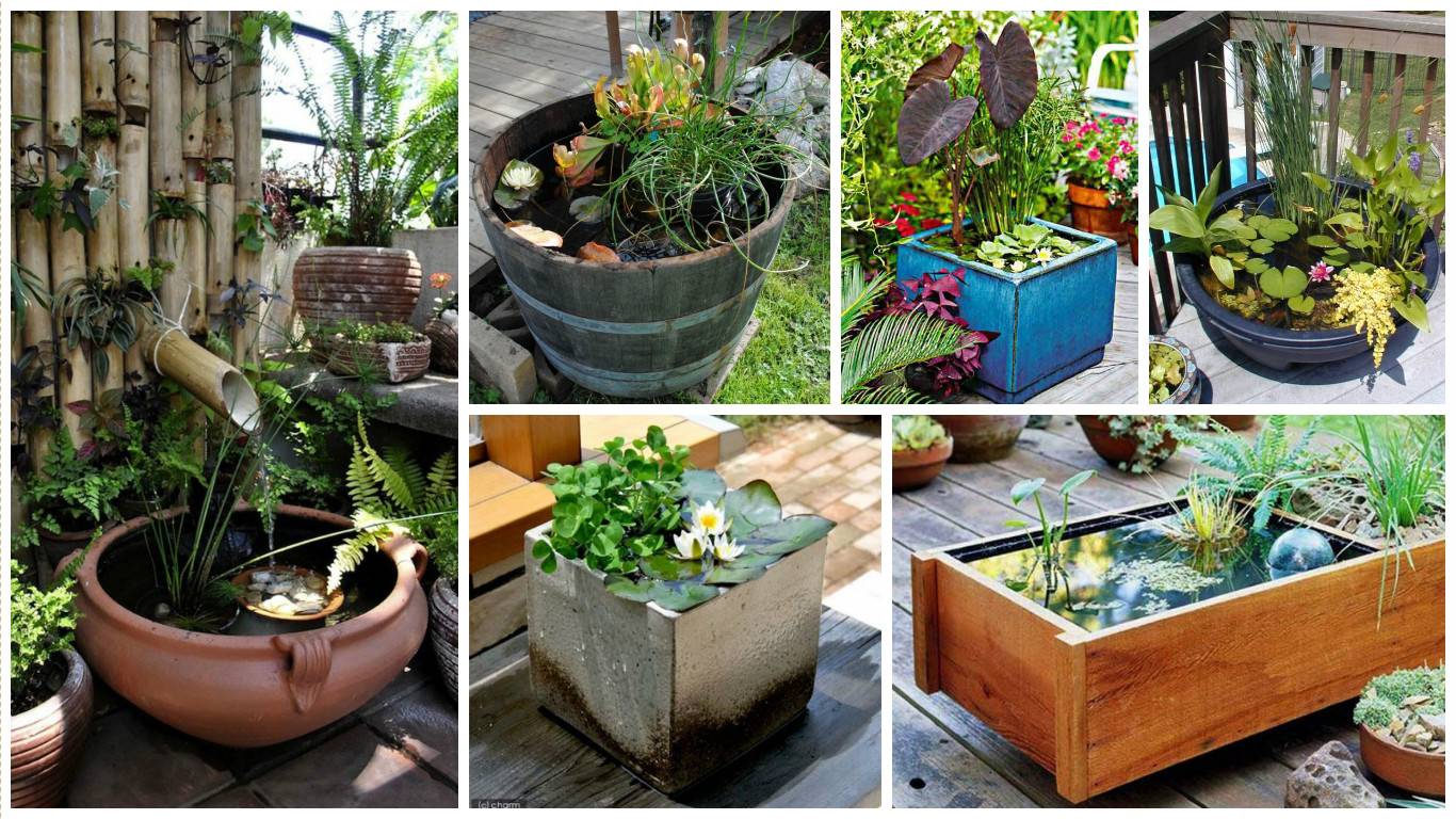 21 Mini Water Garden Ideas To Try This Year | SharonSable