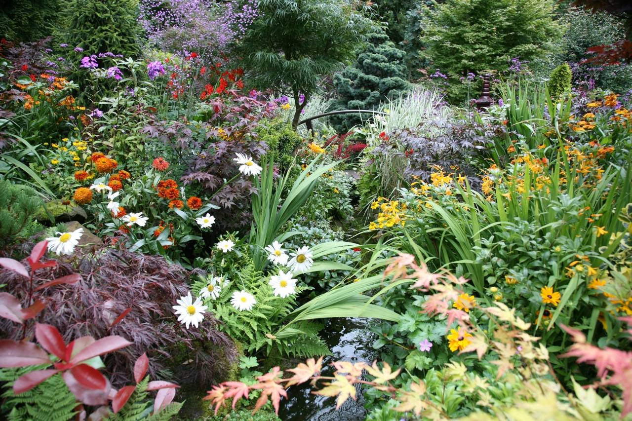 25 Flower Bulb Garden Ideas You Must Look | SharonSable